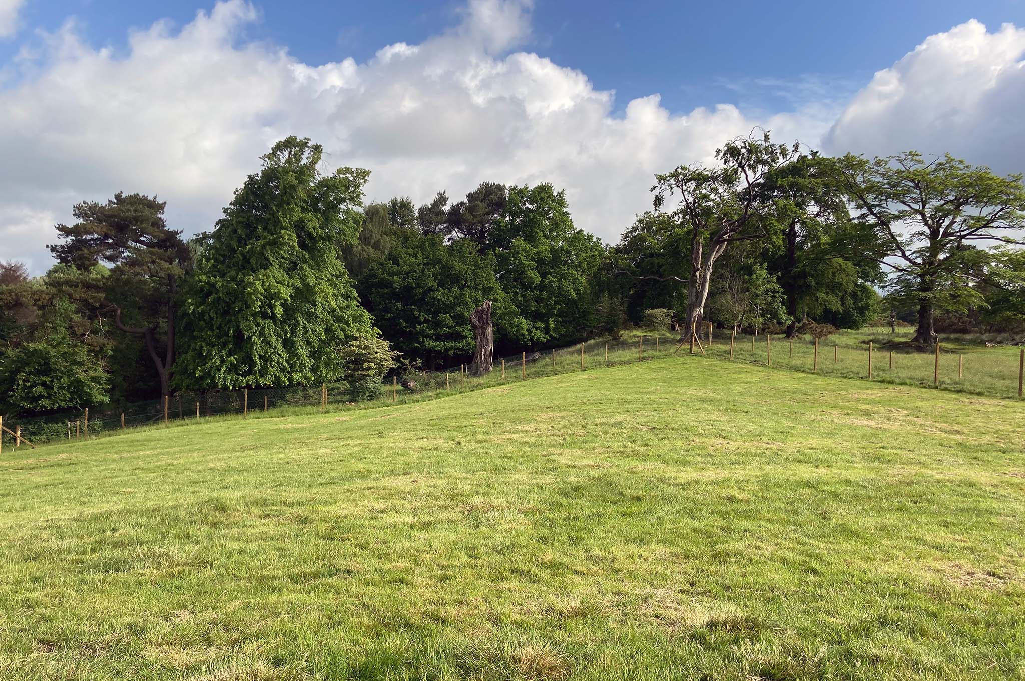 Bearsden – Runfree Dog Fields